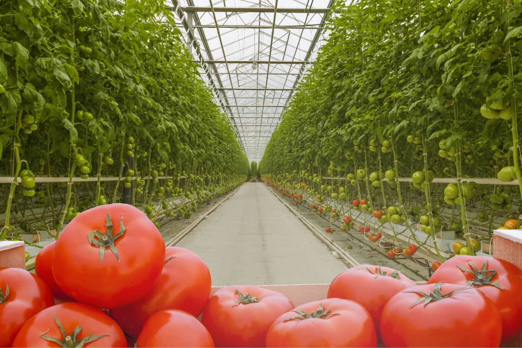 How to Choose a Barn Curtain System | Renegade Plastics