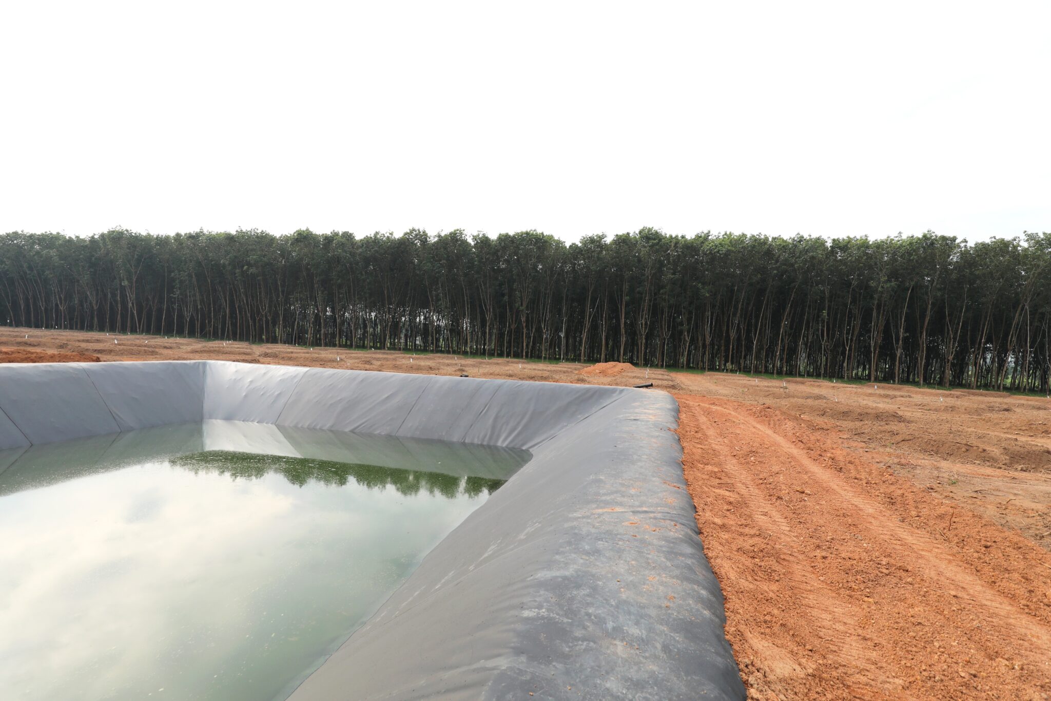 Superior Pond Liners: Fish-Safe Polypropylene for Containment