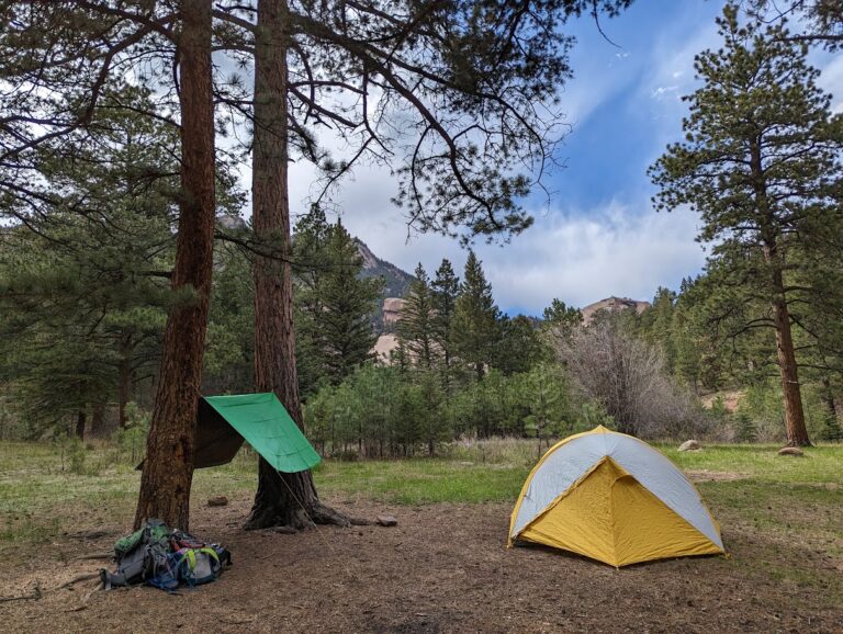 Which of the 9 Most Popular Tarp Sizes Are the Ideal Fit for Your ...